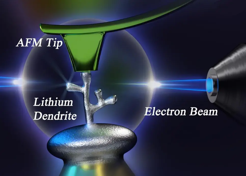 Batterie lithium : Une nouvelle méthode d'études de dendrites - Enerzine