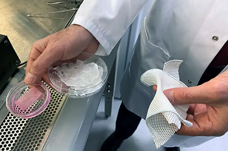 "Rustine cardiaque" : une technologie qui grandit avec le cœur de l ...