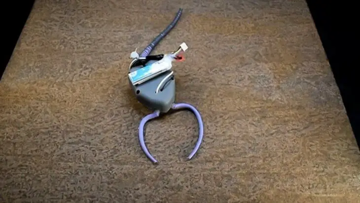 Rhombot, le robot qui donne vie à 500 millions d'années d'histoire ...