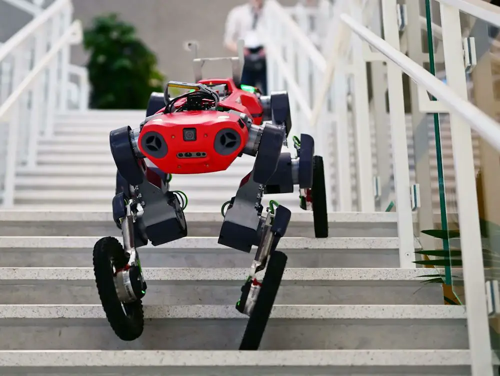ANYmal : le robot quadrupède qui apprend grâce à la curiosité - Enerzine