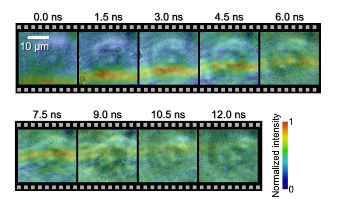 Unpublished photos: a shock wave in a cell – Archyde